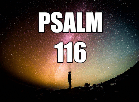 TODAY’S WORD: Devotion and Commitment: Exploring Psalm 116’s Impact on ...