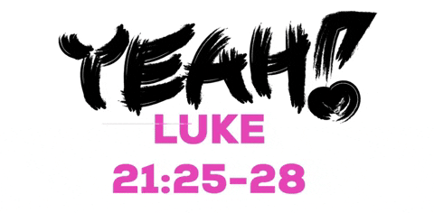 TODAY’S WORD: Understanding Luke 21: Cosmic Signs and Redemption – DO-N ...