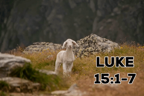 TODAY’S WORD: The Lost Sheep: A Parable of Redemption – DO-N-GOOD.COM