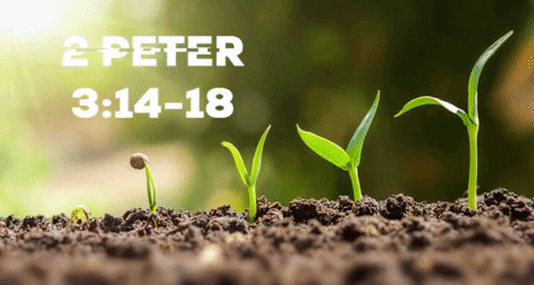 TODAY’S WORD: Understanding 2 Peter 3: Growth, Grace, and Vigilance ...
