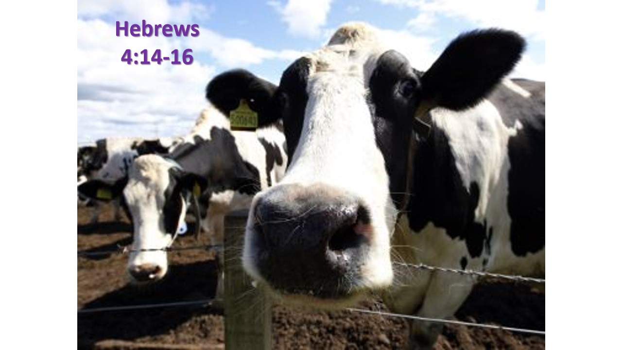 TODAY’S WORD: Boldly Approaching God: Lessons from Hebrews 4:14-16 – DO ...