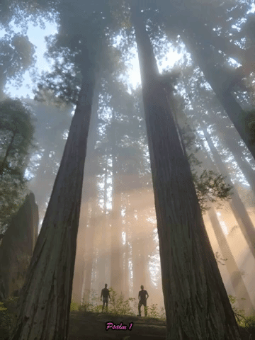 TODAY’S LESSON: The Blessed Life: Insights from Psalm 1 – DO-N-GOOD.COM