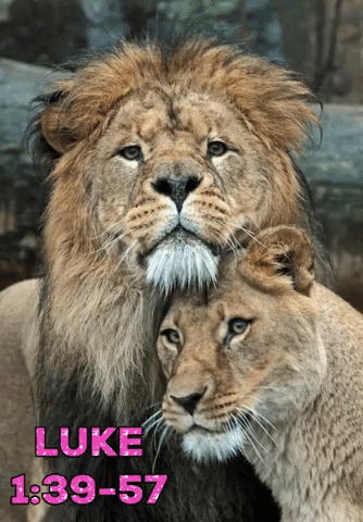 TODAY’S LESSON: The Magnificat: A Lesson in Humility and Covenant – DO ...
