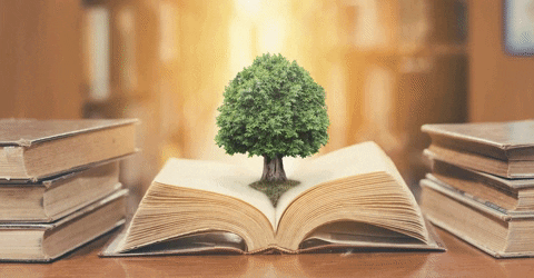 TODAY’S LESSON: The Mind of Christ: Revelations from 1 Corinthians 2 ...